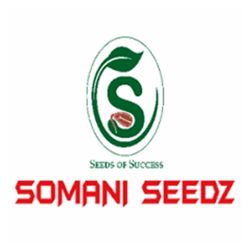 Somani Seedz – Cultree India
