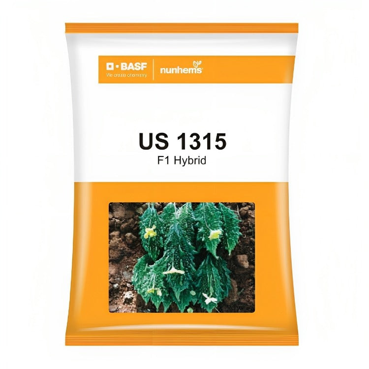 BASF nunhems US 1315 F1 Hybrid Bitter Gourd Seeds – Cultree India