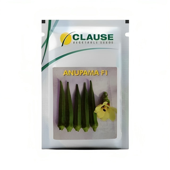 HM CLAUSE – Cultree India