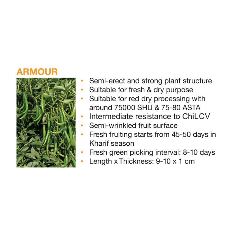 BASF nunhems Armour F1 Hybrid Hot Pepper Seeds – Cultree India