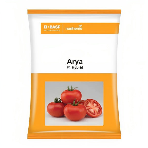 BASF nunhems Arya F1 Hybrid Tomato Seeds – Cultree India