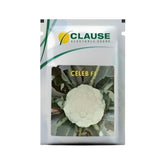 HM CLAUSE – Cultree India