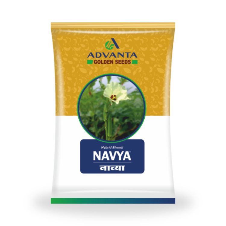 Advanta Golden Seeds Navya Hybrid Bhendi Seeds – Cultree India