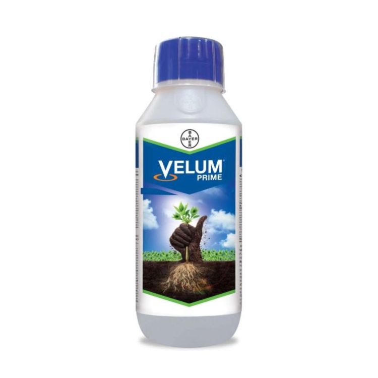 Bayer Velum Prime (Fluopyram 34.48% W/W SC) Nematicide – Cultree India