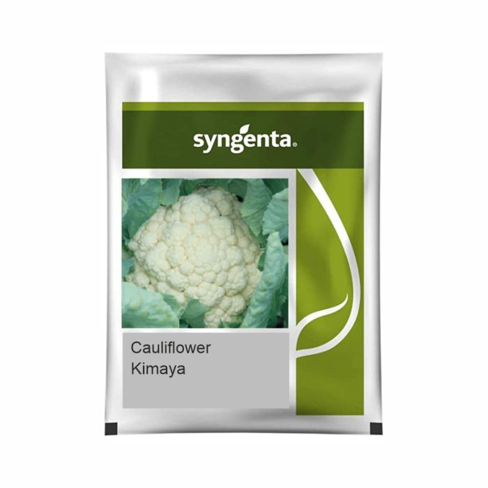 Syngenta Kimaya Cauliflower Hybrid Seeds 2000SD – Cultree India